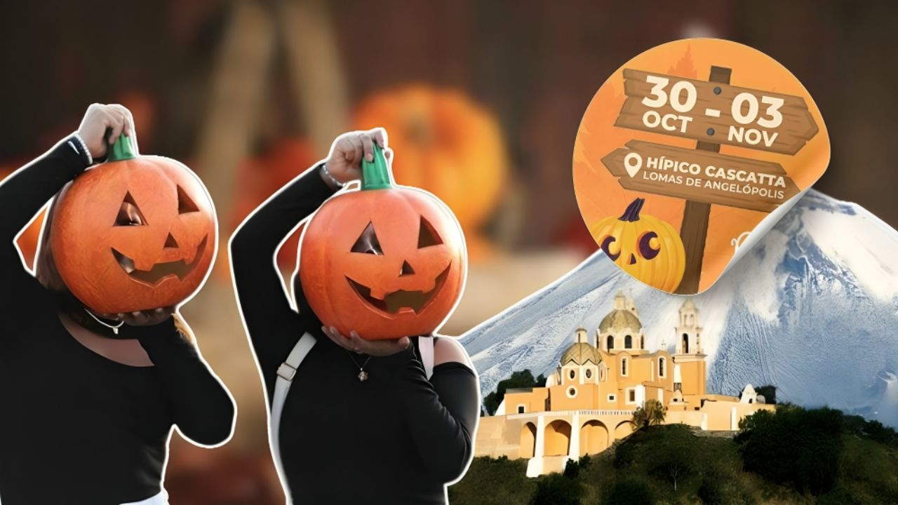 Pumpkin Zone Puebla 2024: ¿Cuándo será el festival del terror en ...