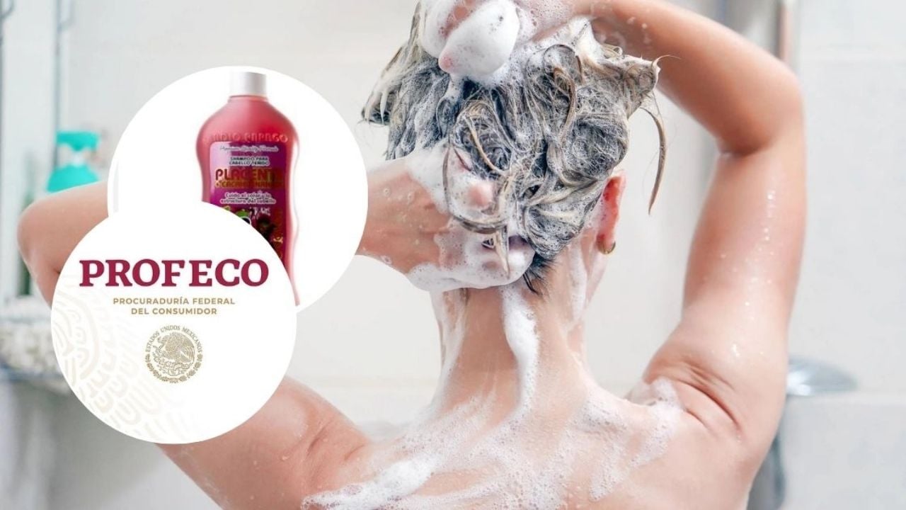 Los MEJORES shampoos profesionales aprobados por PROFECO | La Mejor