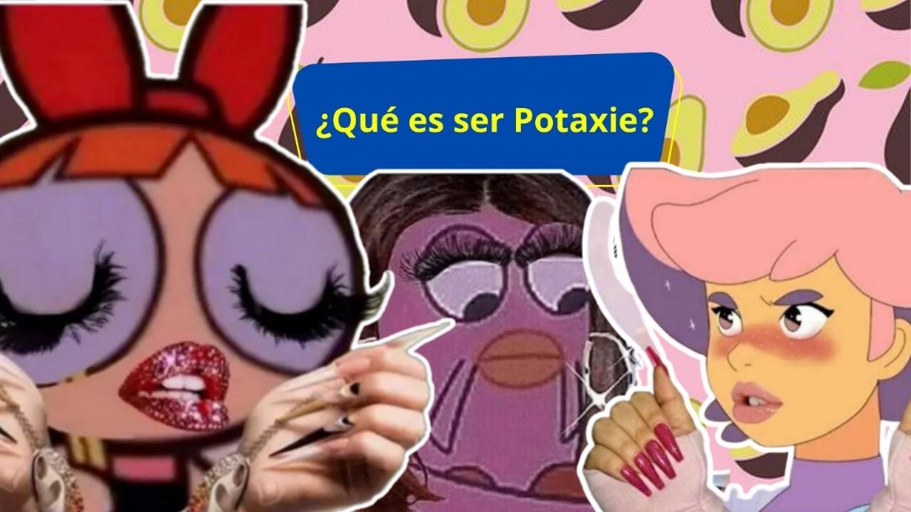 Potaxie: ¿Qué significa este término utilizado por la chaviza? | La Mejor