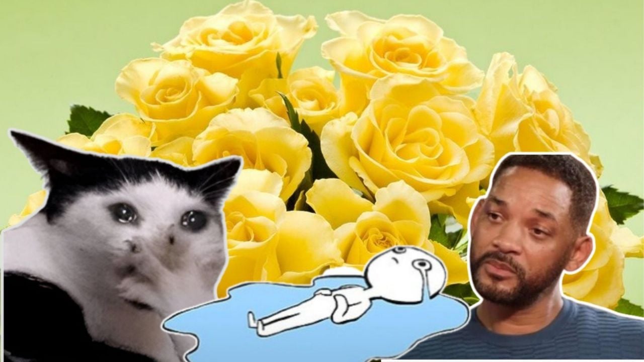 ¿Desprecio o traición? Esto significa del color amarillo en una rosa ...