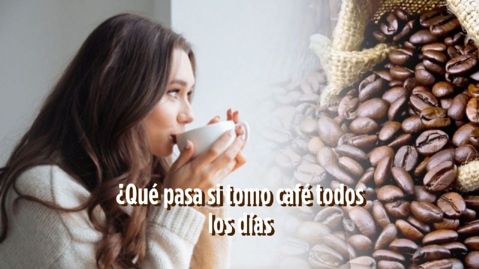 ¿Qué le pasa a tu cuerpo cuando tomas café todos los días? | La Mejor