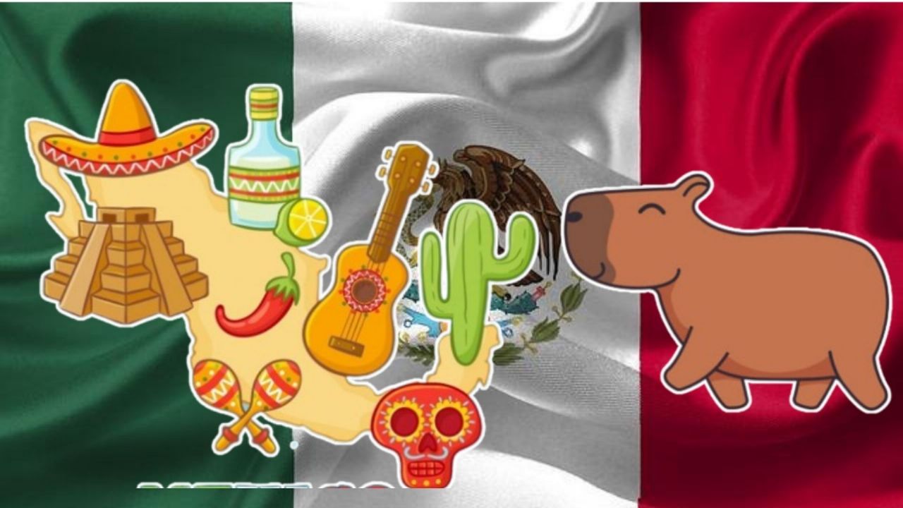 ¿Por qué se dice que México es la Capibara del mundo? Te contamos | La ...