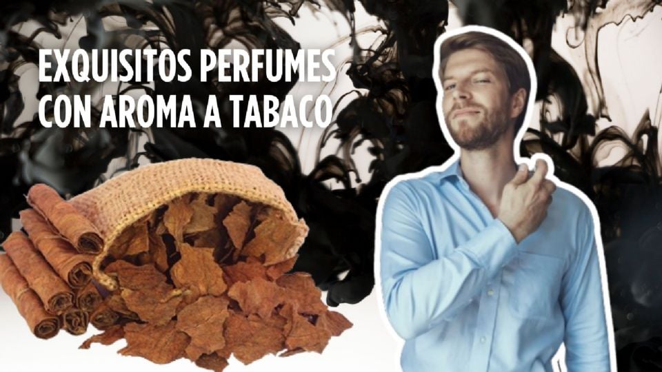 Los MEJORES perfumes para hombre en esta primavera 2024: ¡Con olor a ...