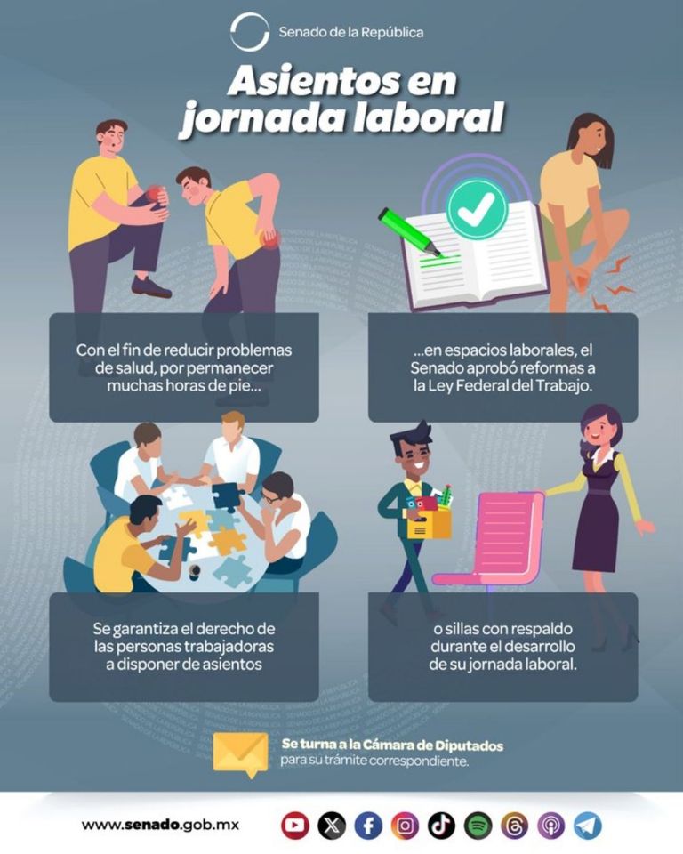 Todo sobre la Ley Silla: beneficios, excepciones y fecha de entrada en vigor - La Magazín