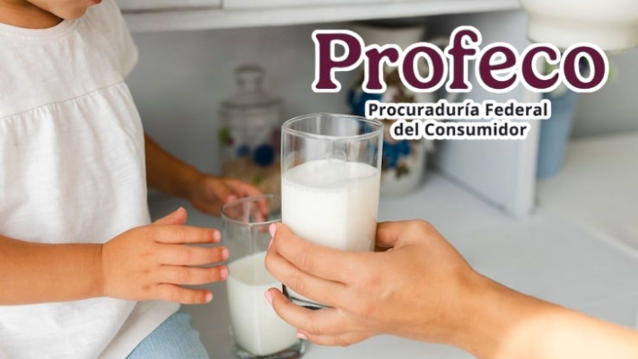 Las mejores marcas de leche entera que puedes comprar, según Profeco ...