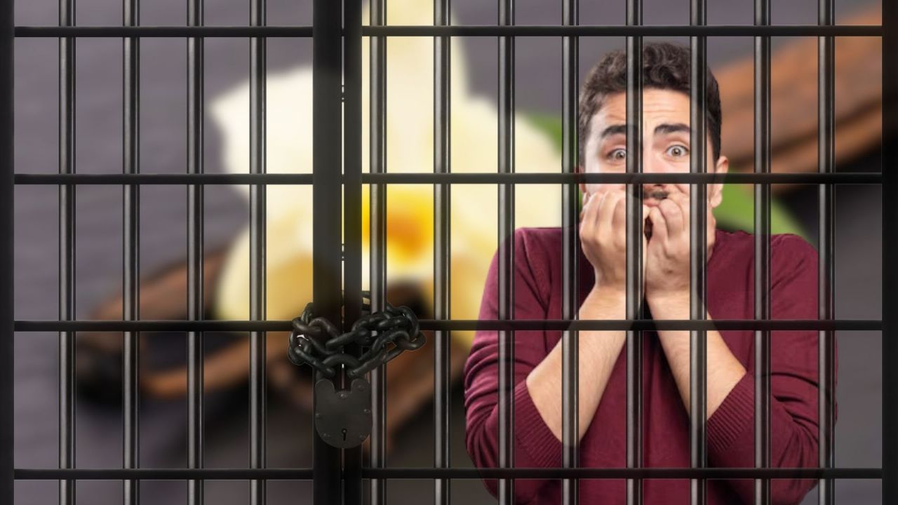 La planta que no puedes cultivar en casa porque irás a la cárcel | La Mejor