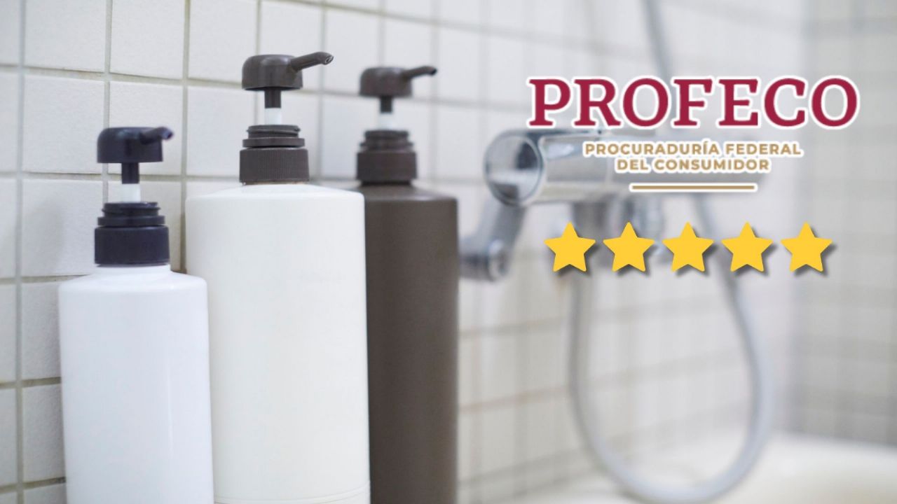 Las 5 mejores marcas de shampoo aprobadas por Profeco por su calidad y desempeño | La Mejor