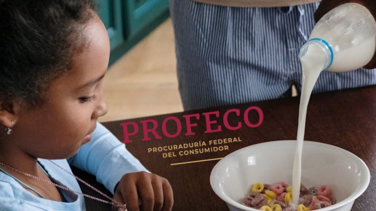 Profeco: La leche que sí es leche y tiene menos grasa que cualquier ...