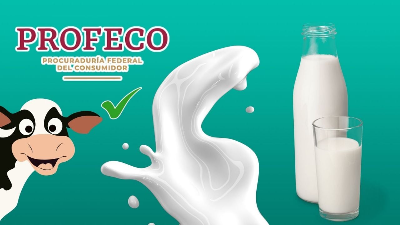 Las marcas de leche que sí son leche y cumplen con lo que prometen ...