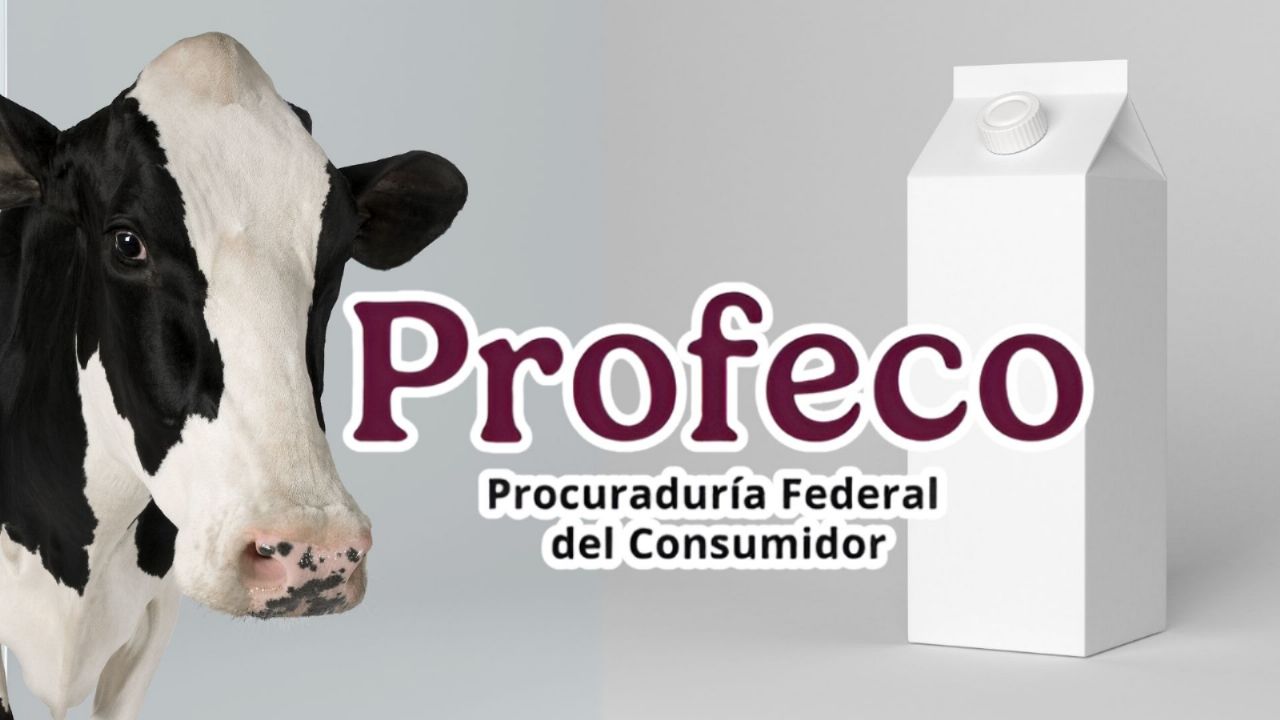 La leche que sí es leche: Profeco elige la marca con más proteína | La ...